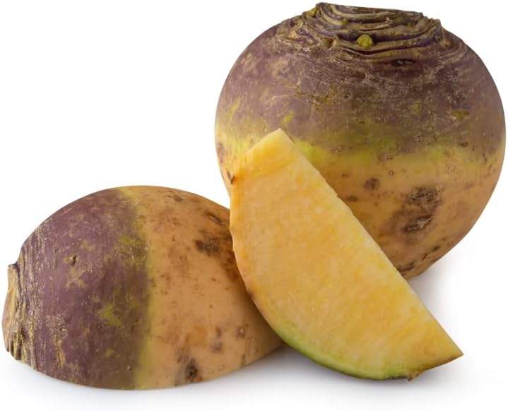 Swede Plants, 'Marian', 12 x Full Plant Pack, Vegetable Plants, Swede ...