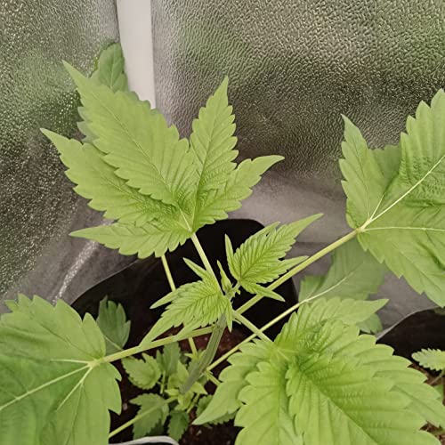 Duckfoot – Die 15 besten Produkte im Vergleich - Die besten Angel Tipps ...