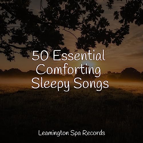 Riproduci 50 Essential Comforting Sleepy Songs di Guided Meditation ...