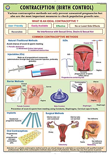 Buy HP31S | TeachingNest | Contraception (Birth Control) Chart 70x100 ...