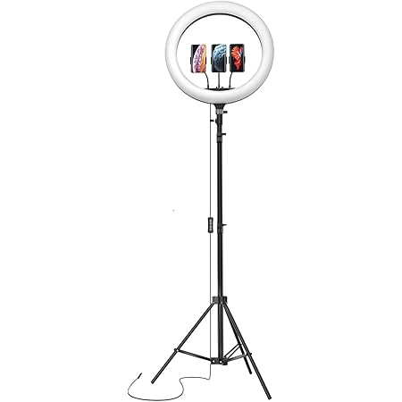 Amazon Basics LED Ring Light (14-inch) with Tripod Stand & Mini Tripod ...