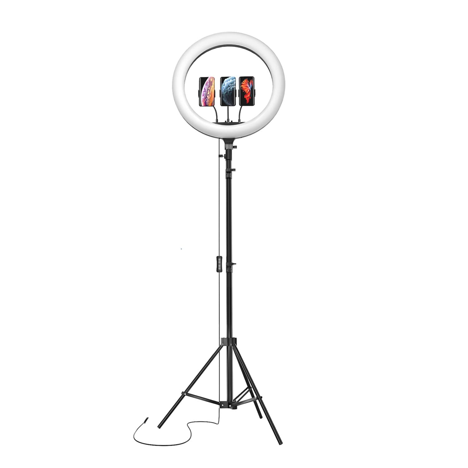 Amazon Basics LED Ring Light (14-inch) with Tripod Stand & Mini Tripod ...