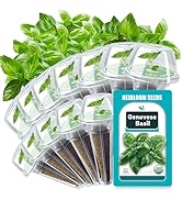 Amazon.com : Lettuce Seed Pod Kit for AeroGarden, Romaine, Butter Head ...