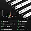Amazon.com : VIVOSUN T5 Grow Light Bulbs 4 Ft 46 Inches, 54W 6500K HO ...