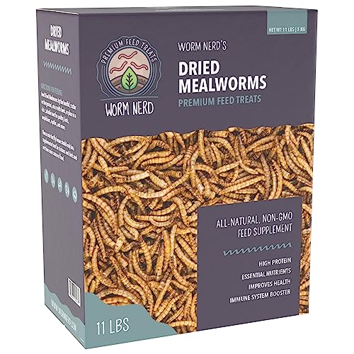 Get Your Pounds of Protein with These Top 10 Mealworm Products: A ...