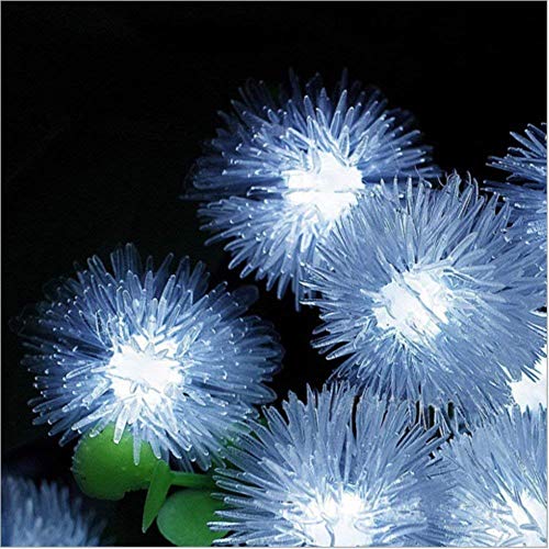 Innoo Tech Solar Globe String Lights Review - Solar Panel America