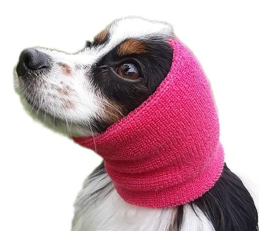 Dog Hoodies for large Dogs – The 15 best products compared - Wild Explained