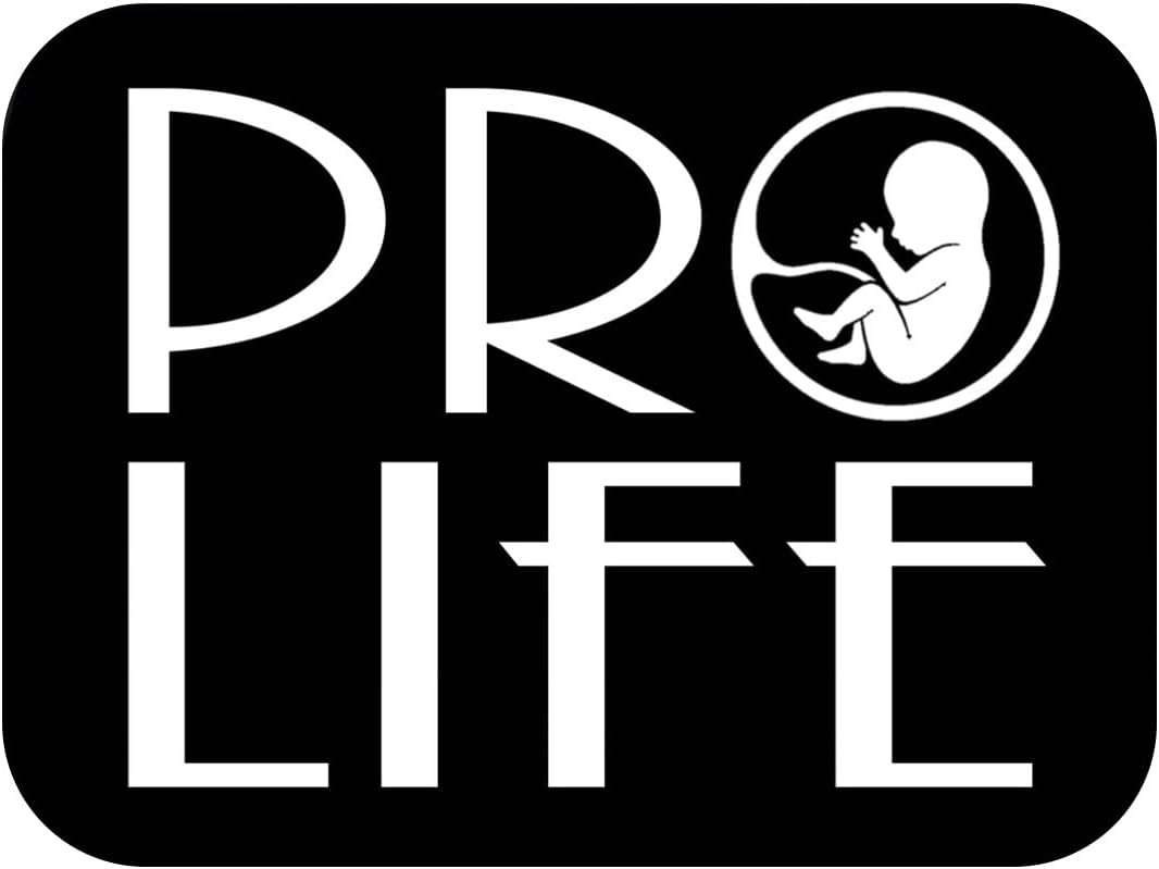 Amazon.com: thatlilcabin - Pro Life Vinyl 6" Decal AS1282 : Automotive