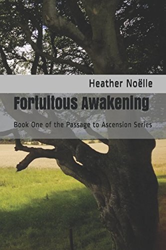 Amazon.com: Fortuitous Awakening: Book One of the Passage to Ascension ...