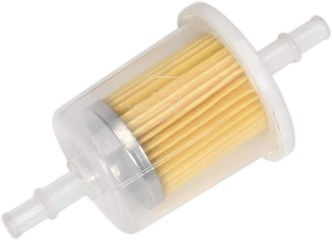 20 x Universal Petrol Inline Fuel Filter Large Car Part Fit 6mm 8mm ...