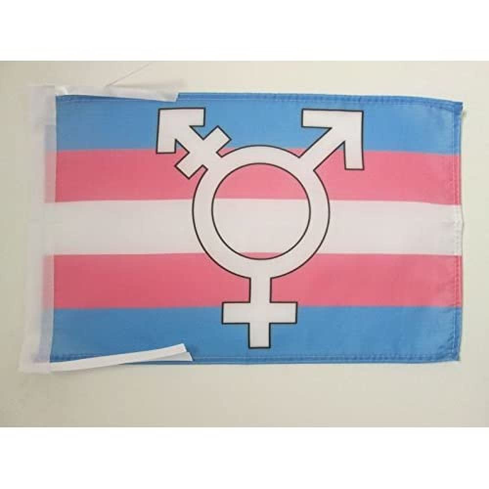 Transgender Symbol Flag