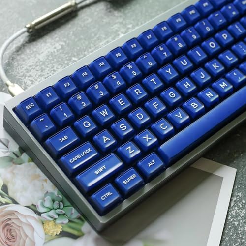 Amazon.co.jp: 142 Keys PBT Double Shot SA Key Cap Translucent Blue Key ...