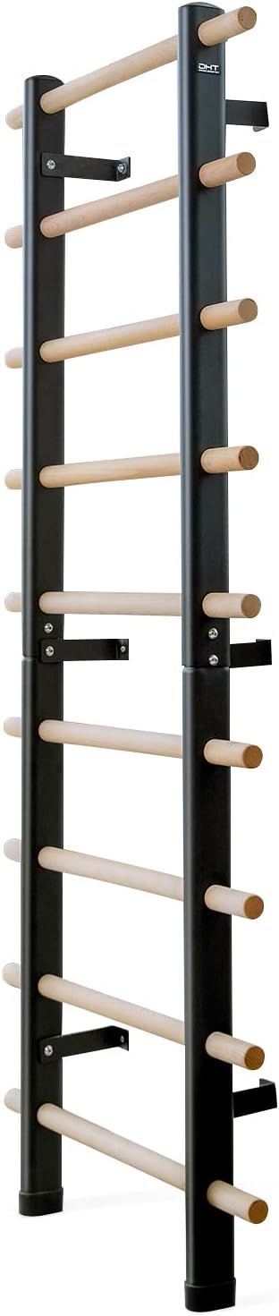 Amazon.com: Wooden Swedish Ladder - Stall Bars Set for Physical Therapy ...