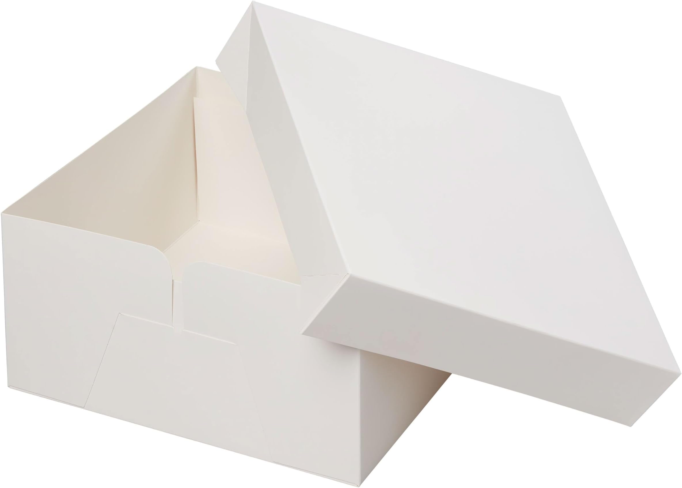 Tala 10 Inch Cake Box, Perfect for Transporting and Storing Cakes ...