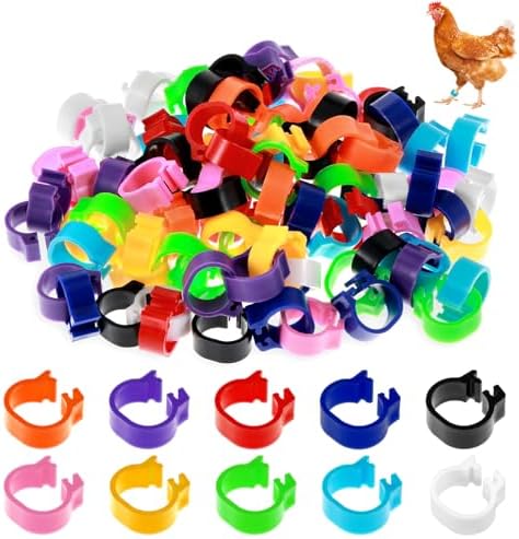 Amazon.com: 100Pcs 16mm Poultry Leg Bands with 10 Colors Chicken Quail ...