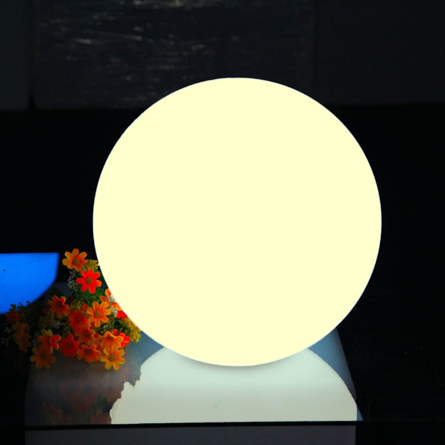 FANOAULEA 12 Inch Solar Ball Light, Outdoor Globe Light with Remote ...