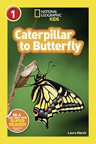 Free Butterfly Unit Study | Mombrite