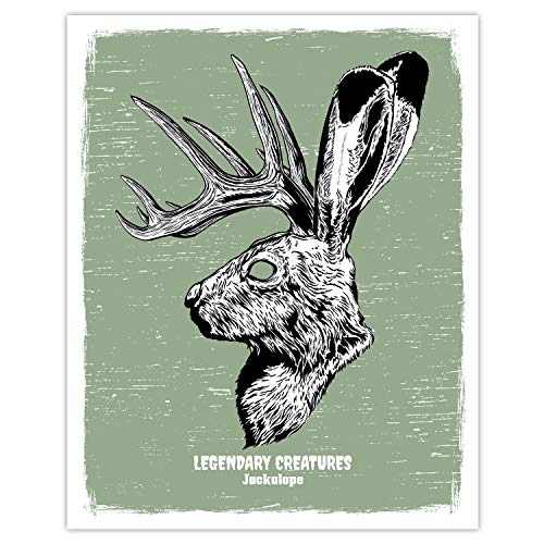 Amazon.com: Jackalope - Legendary Creatures Art - 8x10 : Handmade Products