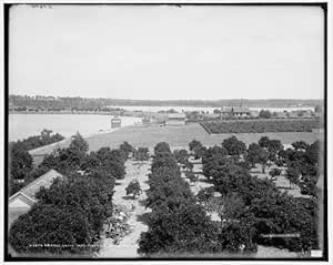 Amazon.com: INFINITE PHOTOGRAPHS Photo: Orange Grove,Pineries,Orchards ...