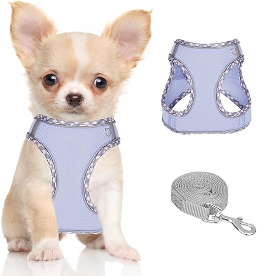 Amazon.com : DoggieKit Dog Harness for Small Medium Dogs No Pull ...