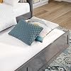 Amazon.com: AFI, Acadia Twin Size Wood Daybed Frame with Twin Trundle ...