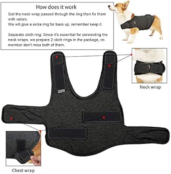 Do Calming Coats Work For Dogs