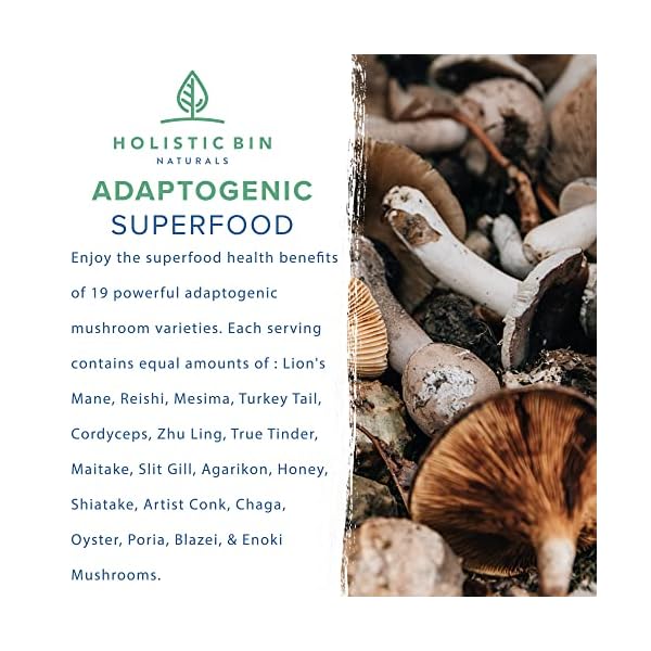 Holistic Bin Organic Mushroom Blend Powder 19 Wild Harvested Varieties ...