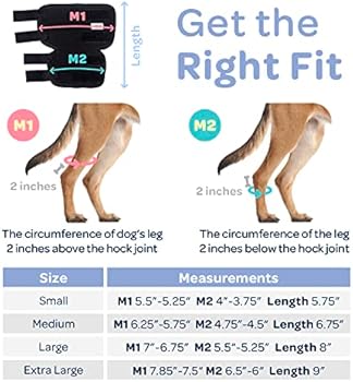 How Do You Treat A Sprained Dog Tail