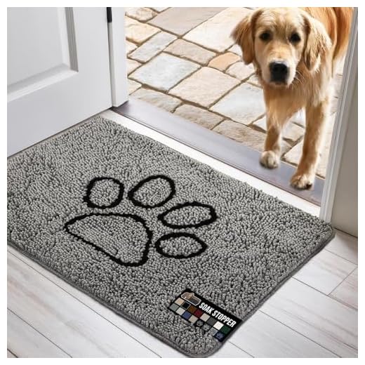 7 Best Entryway Rugs For Dogs | Best Dog Doormat Rugs - THERUGSGAL.COM