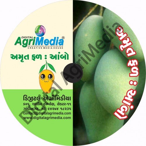 Amazon.in: Buy Ambo : Amrut Phal (Scientific cultivation of Mango) DVD ...