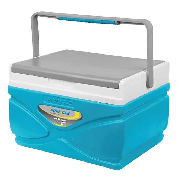 Buy Pinnacle's Prudence Chiller Ice Box : Small Ice Box for Travelling ...