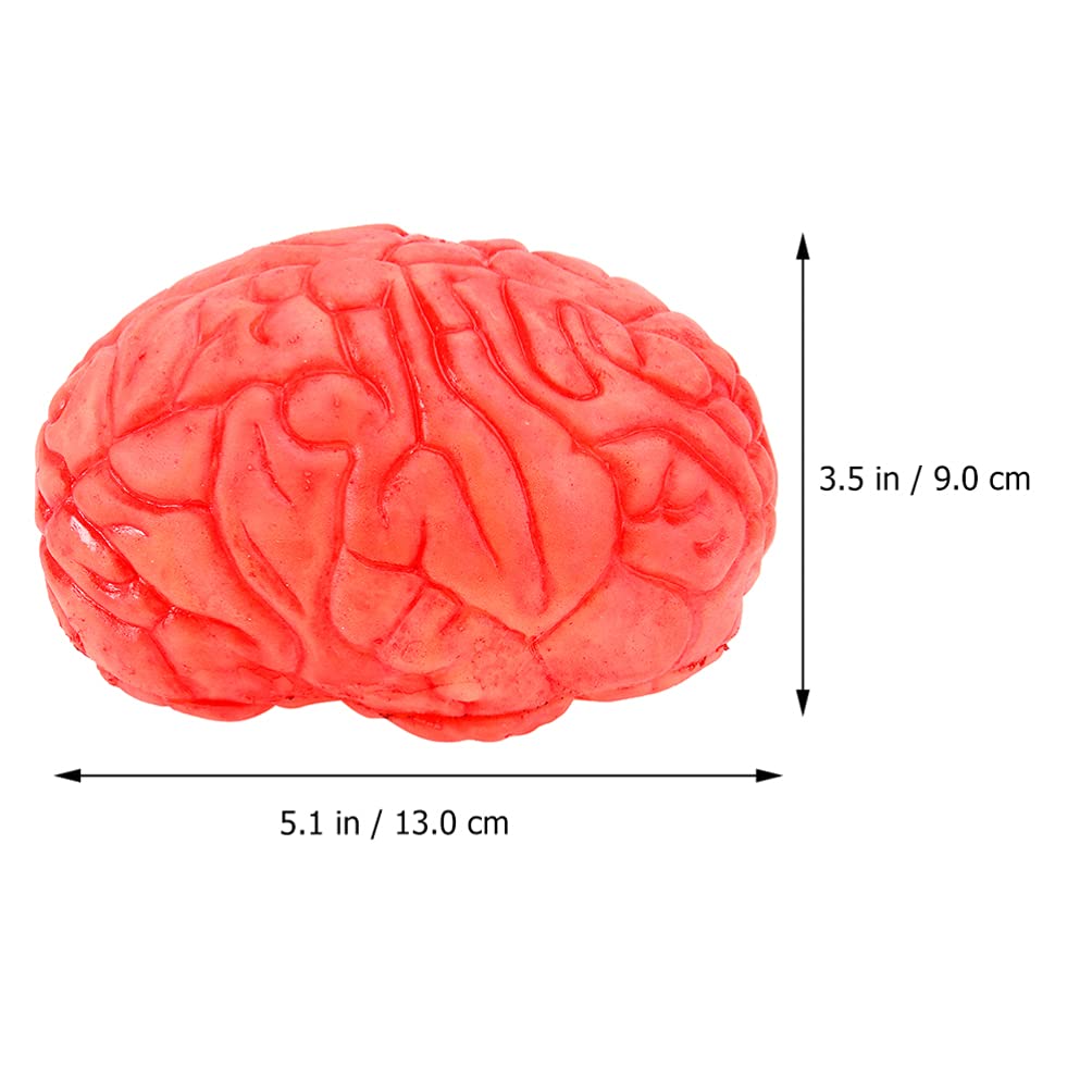 Cool Real Brain Pictures