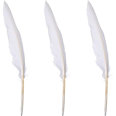 MFUOE White Goose Feather Quill Pens Feather Signing Pen Black Ink for ...
