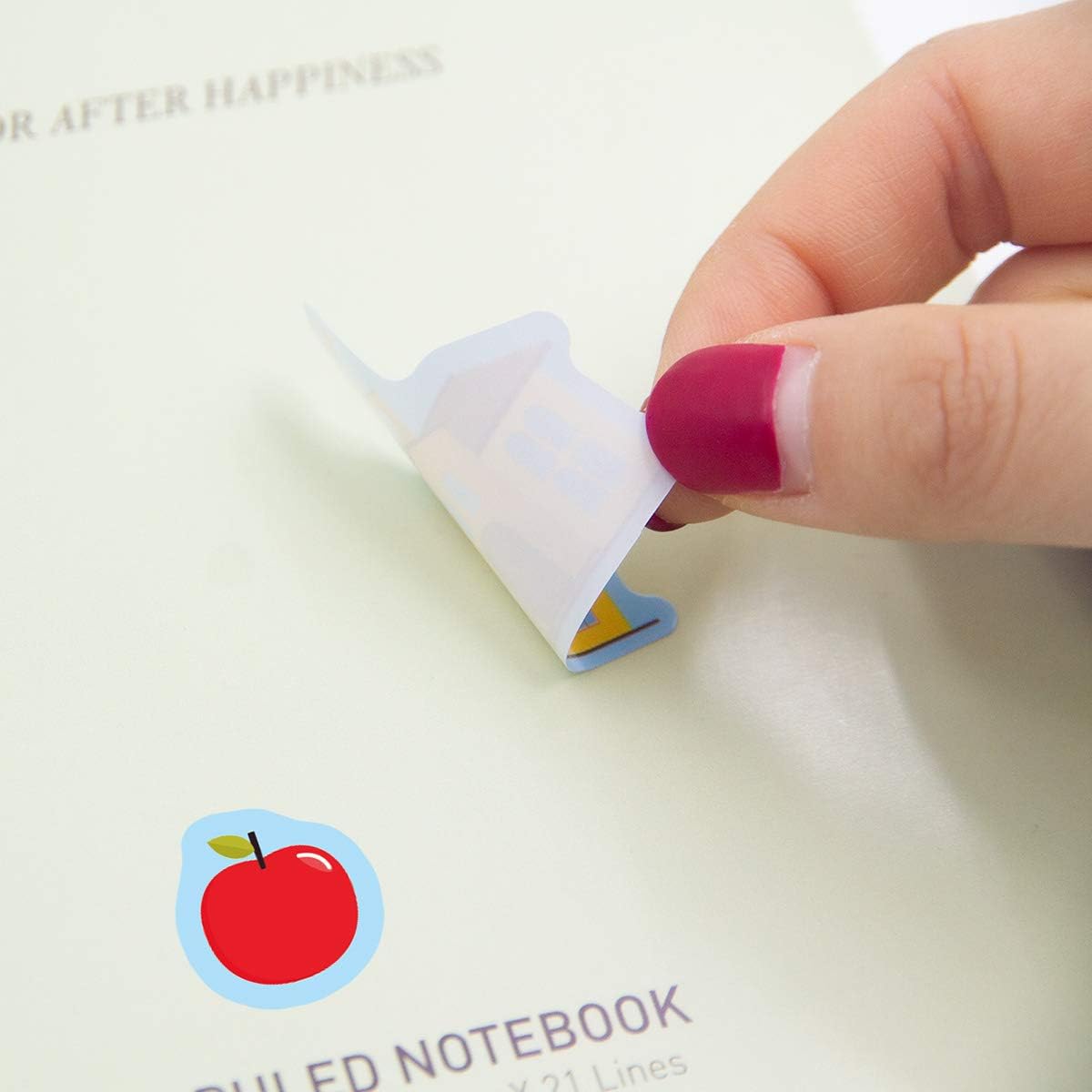 16 Sheets Holiday Stickers 800 Seasons Assortment Stickers for Kids ...