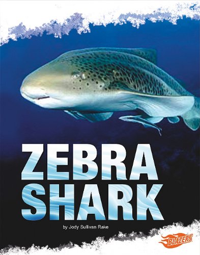 Zebra Shark (Shark Zone): Nuzzolo, Deborah, Fox, Barbara J., Rake, Jody ...