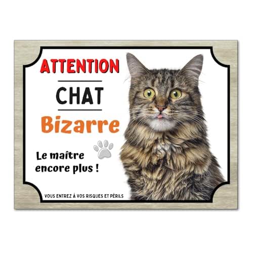 Plaque attention au chat bizarre humour panneau monte la garde pancarte ...