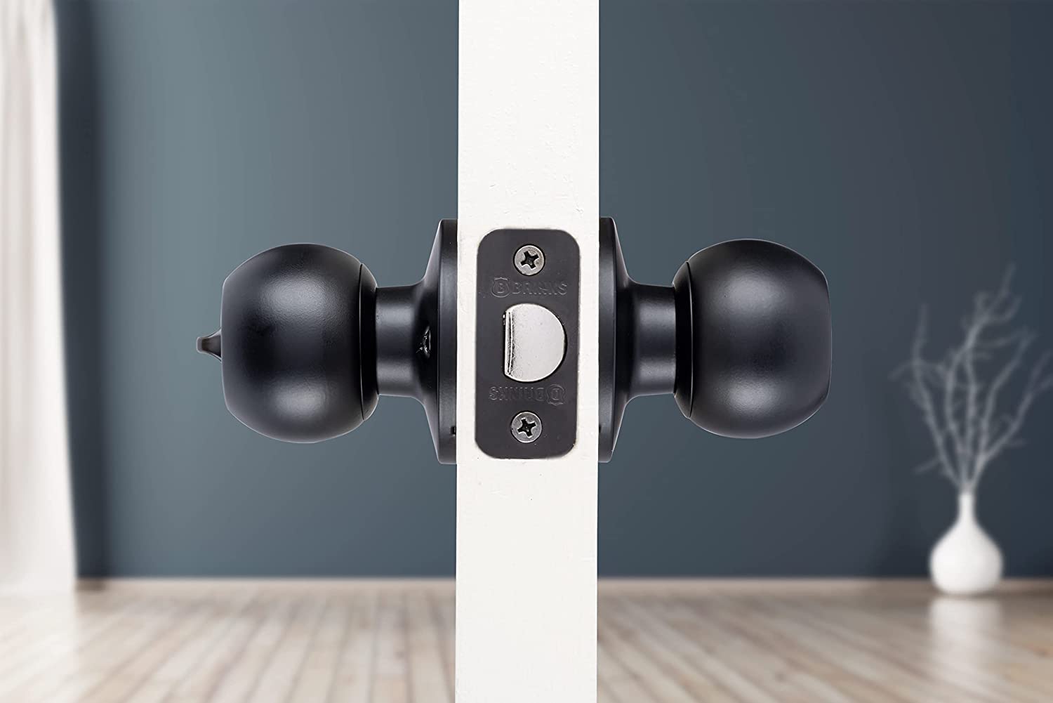 Snapklik.com : BRINKS Transitional Privacy Door Knob - Matte Black ...