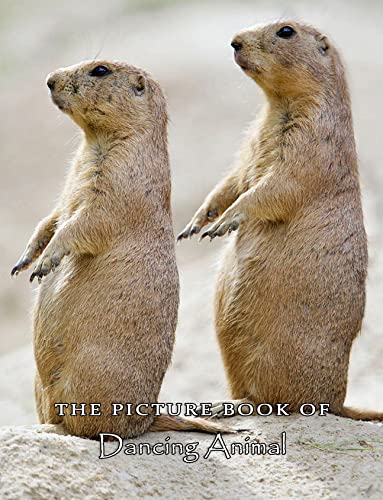 Dancing Animal, A No Text Photo Book: Compelling Photos of Dancing ...