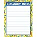 Amazon.com: Teacher Created Resources Tools for School Classroom Rules ...