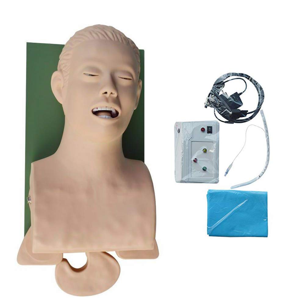 Electronic Silicone Airway Management Trainer, 110V Adult Tracheal ...