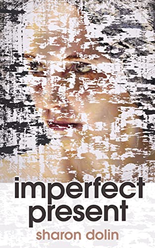 Amazon.com: Imperfect Present: Poems (Pitt Poetry Series) eBook : Dolin ...