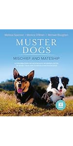 Muster Dogs: Mischief and Mateship, a charming companion picture book ...