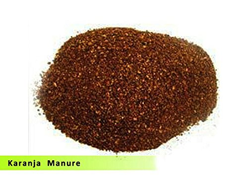 Star Pungam Cake (5Kg) : Amazon.in: Garden & Outdoors