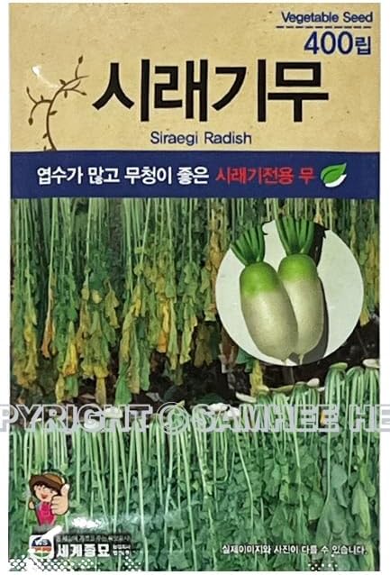 Amazon.com : Siraegi Radish Plant Seeds 1Pack 4Grams (시래기무) : Patio ...