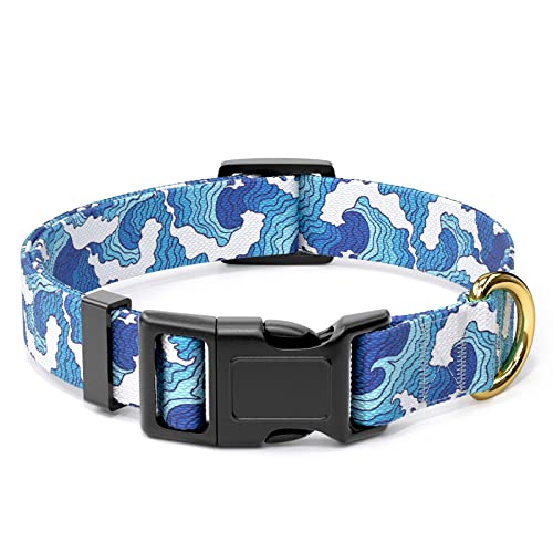 Male Dog Collars – The 15 best products compared - Wild Explained