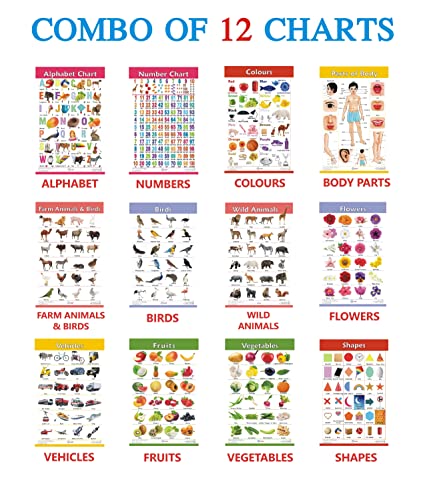 Early Learning Educational Chart Set for Kids | Set of 12 HARD ...