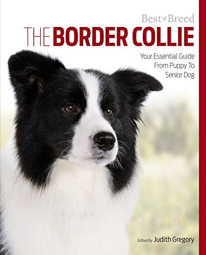The Border Collie: Your Essential Guide From Puppy To Senior Dog (Best ...