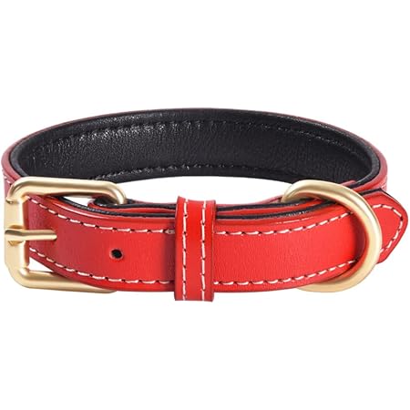 Genuine Leather Padded Dog Collar Comfortable Strong Soft Collars Best ...