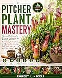 【発売日：2026年05月05日】