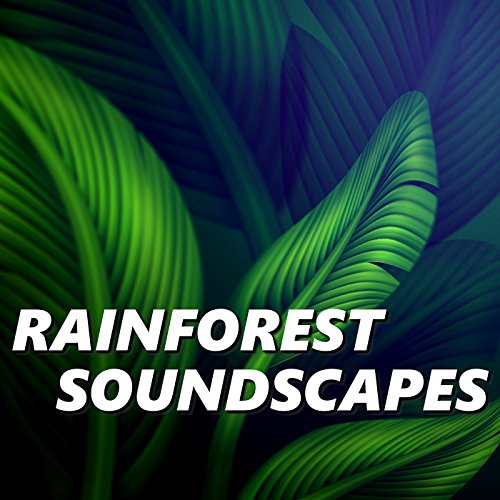 Amazon.com: Rainforest Soundscapes : Rainforest Soundscapes: Digital Music